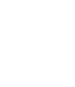Kia Red color hex code is #BB162B