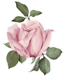 Neutral Rose color hex code is #C8A1AD