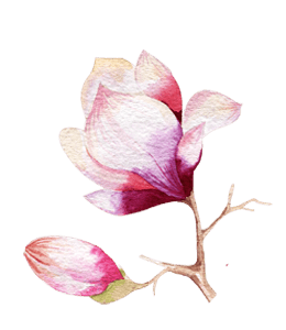 Magnolia color hex code is #F8D1D2