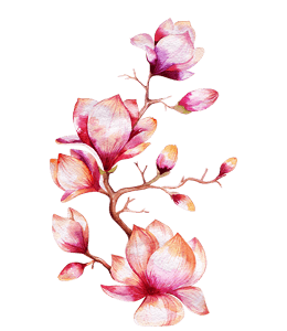 Evelyn color hex code is #CD6691