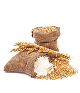 Flour color hex code is #EBE5DA