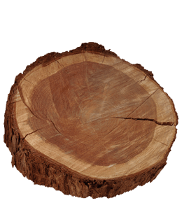 Forest Wood color hex code is #99755A