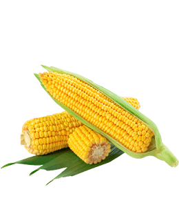 Corn color hex code is #EDD84D