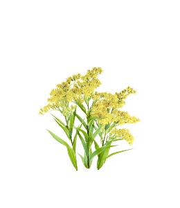 Light Goldenrod Yellow color hex code is #FAFAD2